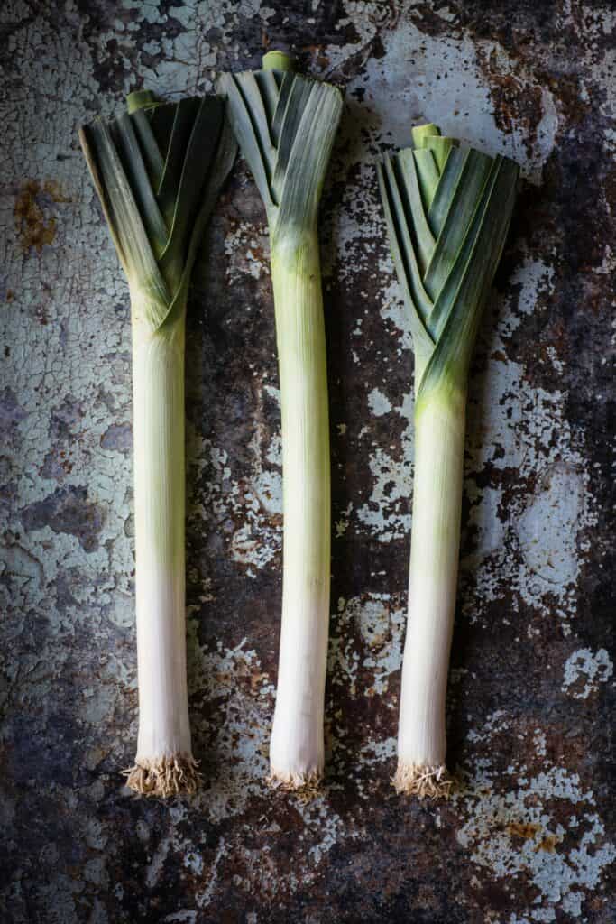 Leek ‘Carentan’ – Heritage Vegetable Seeds