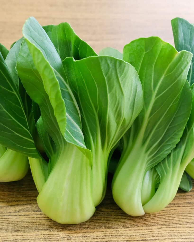 Pak Choi ‘Dwarf Canton White’ – Heritage Vegetable Seeds